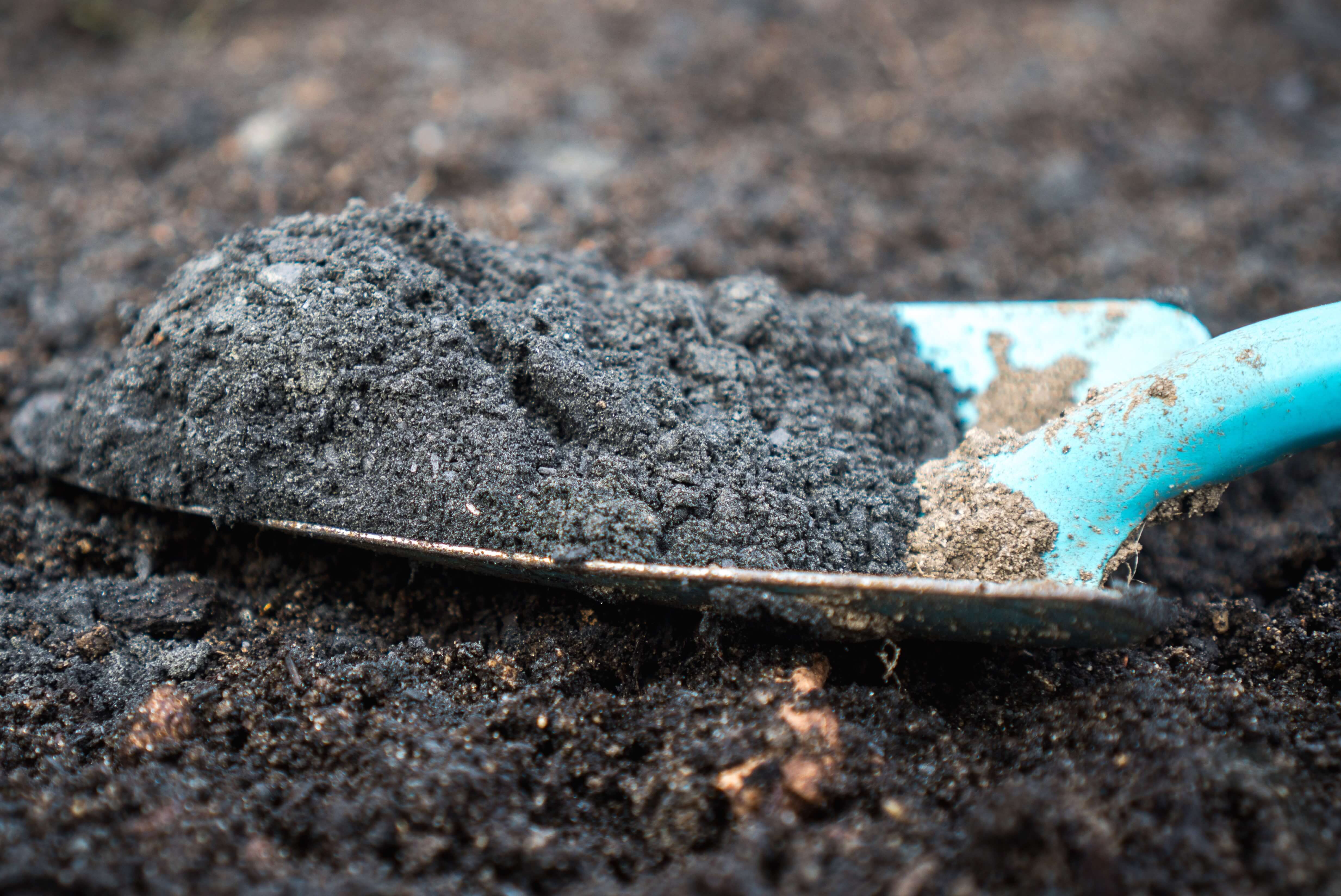 Combining THP with Pyrolysis/Gasification Benefits | Cambi Academy Combining THP with Pyrolysis/Gasification Benefits | Cambi Academy